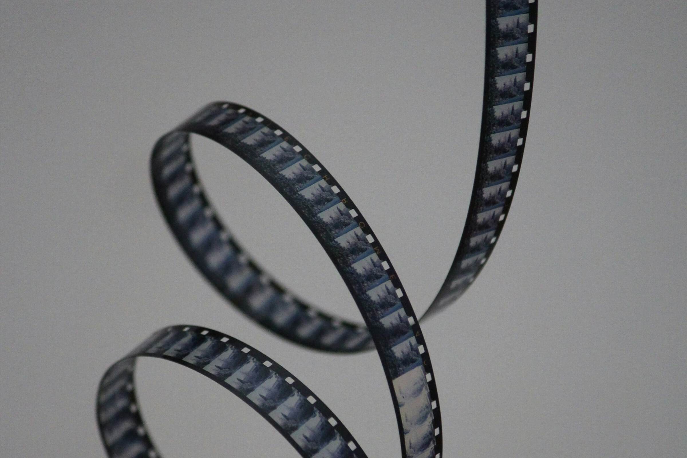 Collections | The Festival Agency